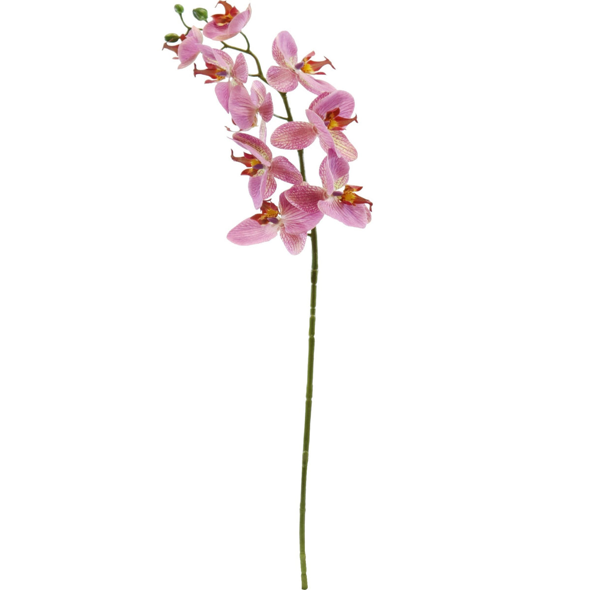 Artificial Orchid Flower Stems | Real-touch Silk Orchids